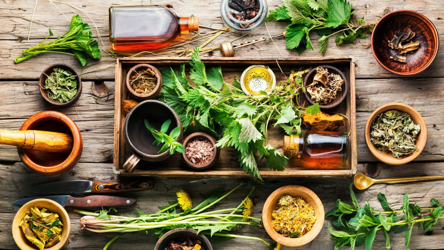 Visiting Oaxaca: A Rich Tapestry of Culture, History, Plant Medicine ...